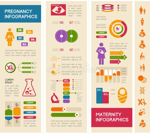 Maternity Infographic Template. Stock Vector - Illustration of ...