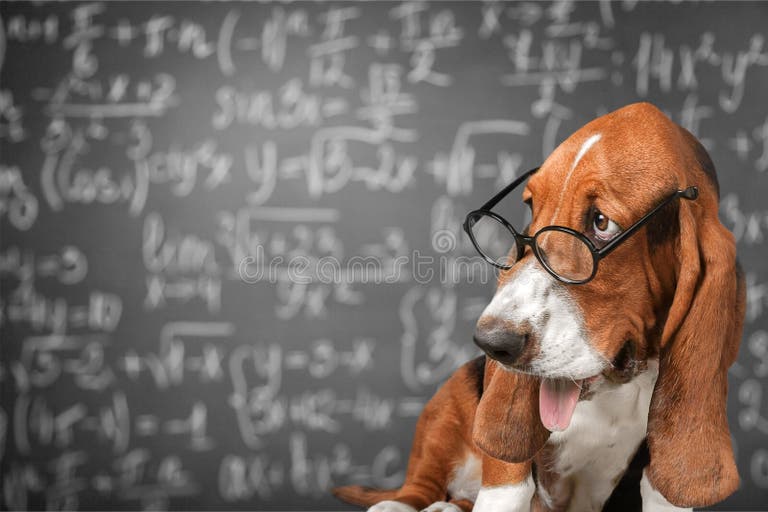 215 Dog Math Stock Photos - Free & Royalty-Free Stock Photos from ...