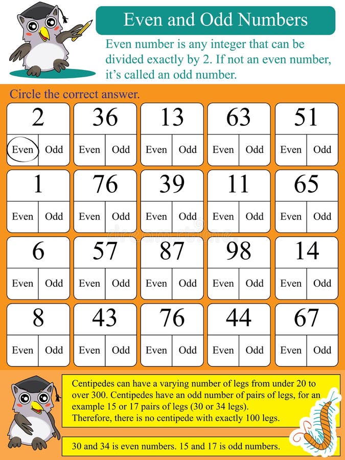 Mathematics Even and Odd Numbers Stock Vector - Illustration of count ...
