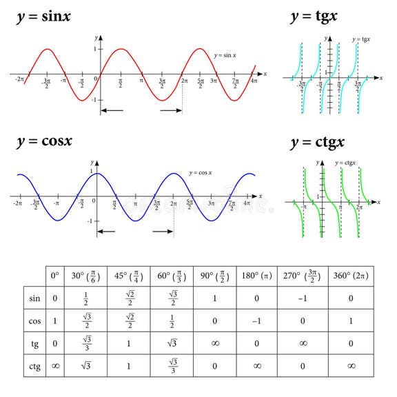 Mathematical Functions Sine, Cosine, Tangent and Cotangent Stock Vector - Illustration of ...