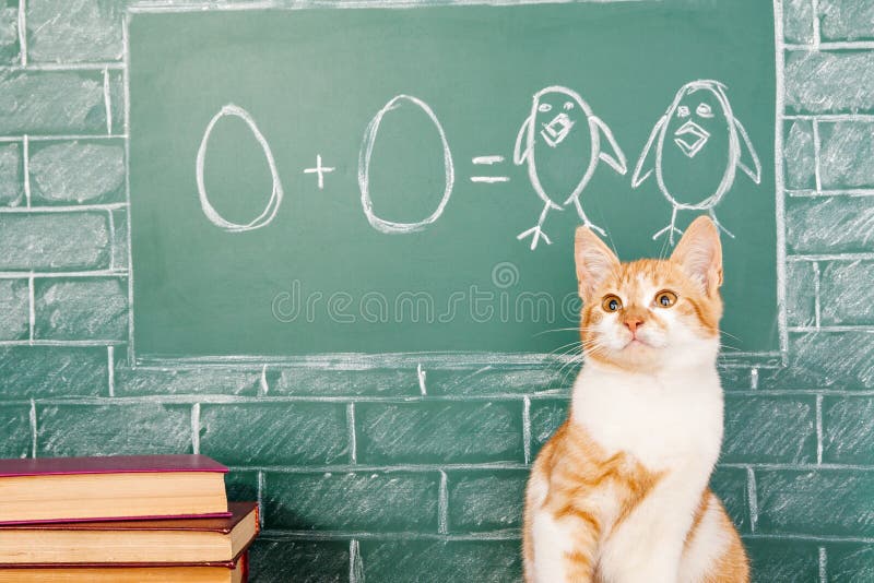 Mathematics stock image. Image of chalkboard, knowledge - 84704759