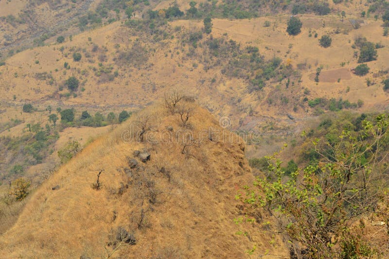 Matheran, Maharashtra stock image. Image of leaf, dense - 101761713