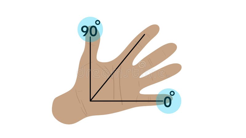 Maths, Education, a Hand with Lines Drawn from the Base To Each Finger ...