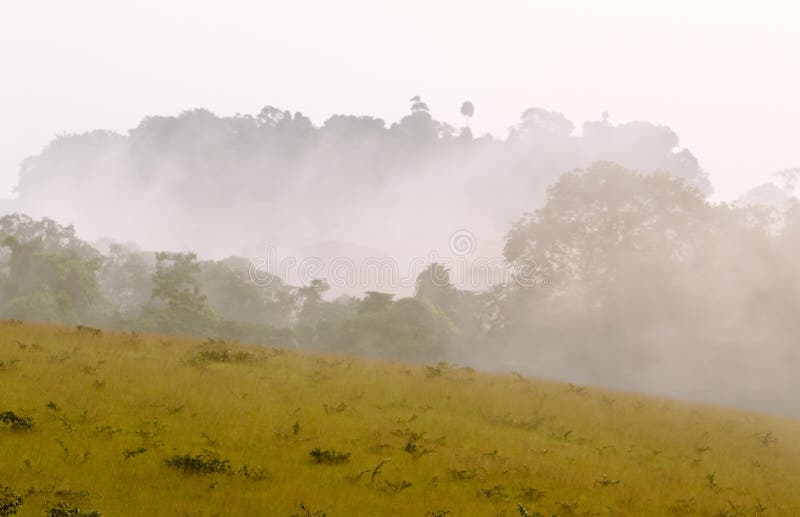 Matin Nuageux Dans La Savane Occidentale De L'Afrique, Le Congo Photo ...