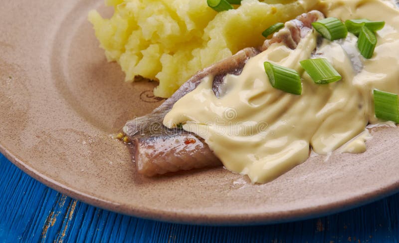 Matjes Hering stock photo. Image of snack, onion, shot - 112965236