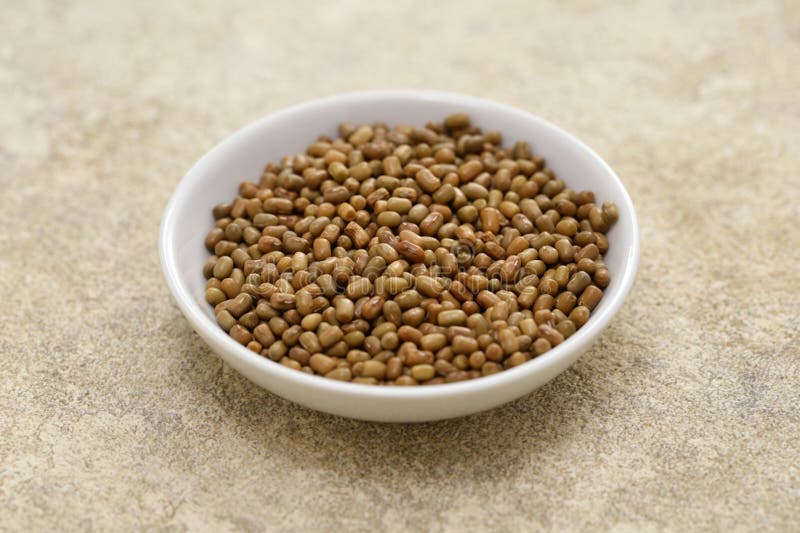 Matki Dal (moth Bean, Mat Bean, Dew Bean ), Indian Cuisine Ingredient ...