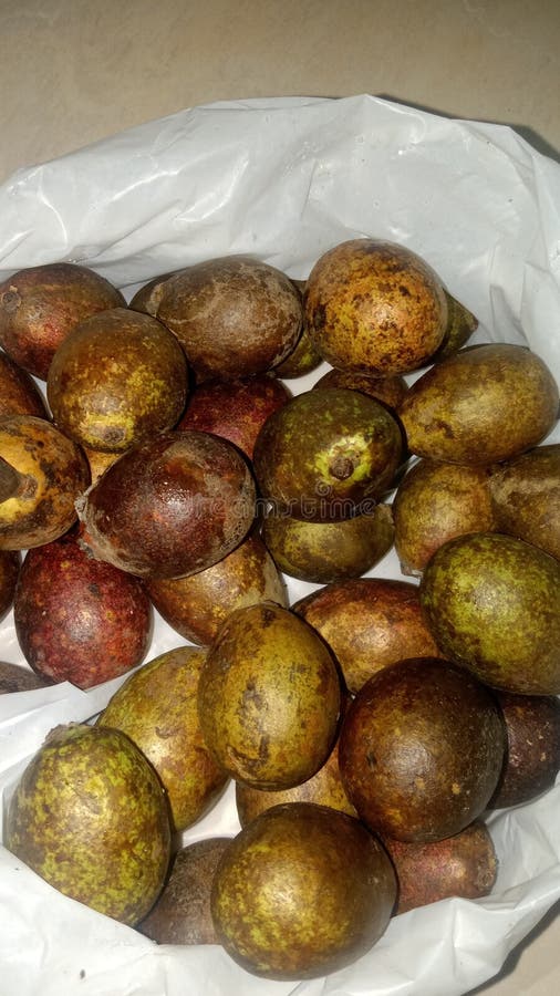 Mato fruit stock photo. Image of fruit, rare, taste - 262157562