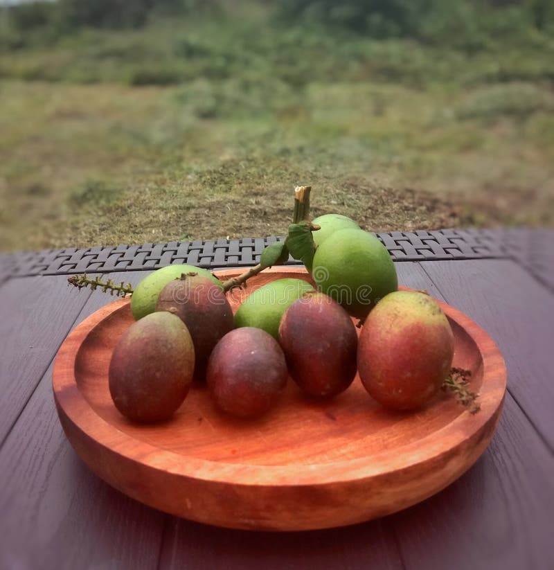 Matoa Fruits from Indonesia Stock Photo - Image of trees, taste: 275387234