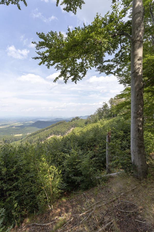 Matra Mountains View from the Kekes Stock Image - Image of forest, peak ...