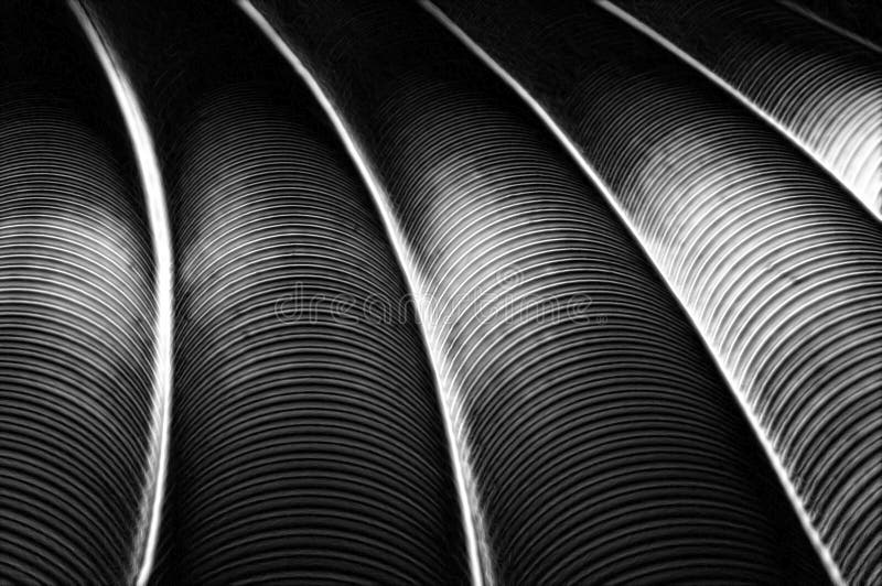 Steel spring detail stock photo. Image of steel, metal - 1370428