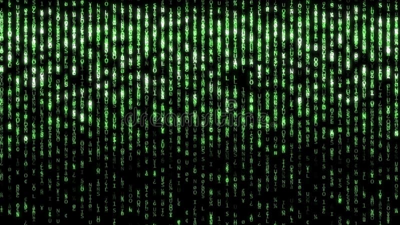 Matrix binary code 4k stock footage. Video of computer - 200452514