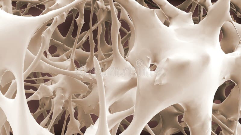 Matrix of bone fibers stock video. Video of microbiology - 318881137