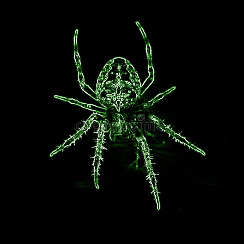 Matrix Spider Picture. Image: 87381034