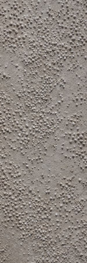 Matte Cement Surface with Rough Texture and Small Embedded Pebbles ...