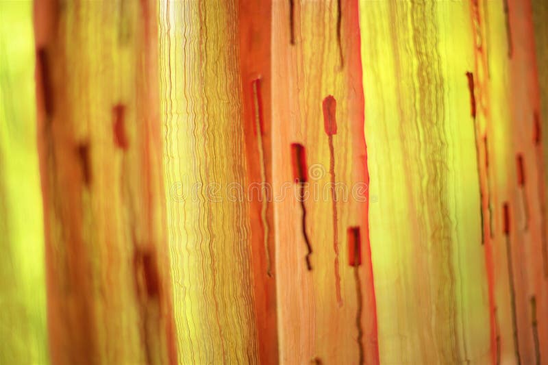 Matte Tulle with Vertical Threads Pattern, Side View Stock Photo ...