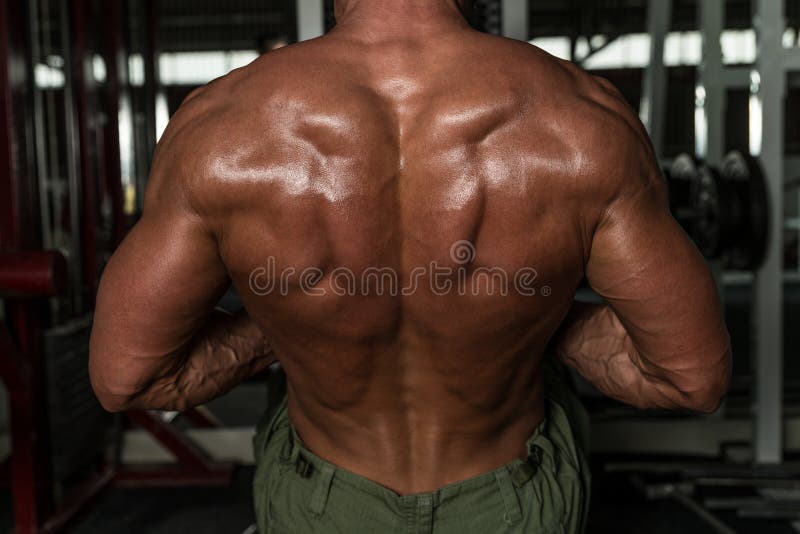Mature Bodybuilder Doing Heavy Weight Exercise for Back Stock Photo ...