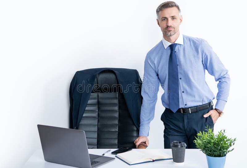Mature Boss Working in Office with Laptop Stock Photo - Image of ...
