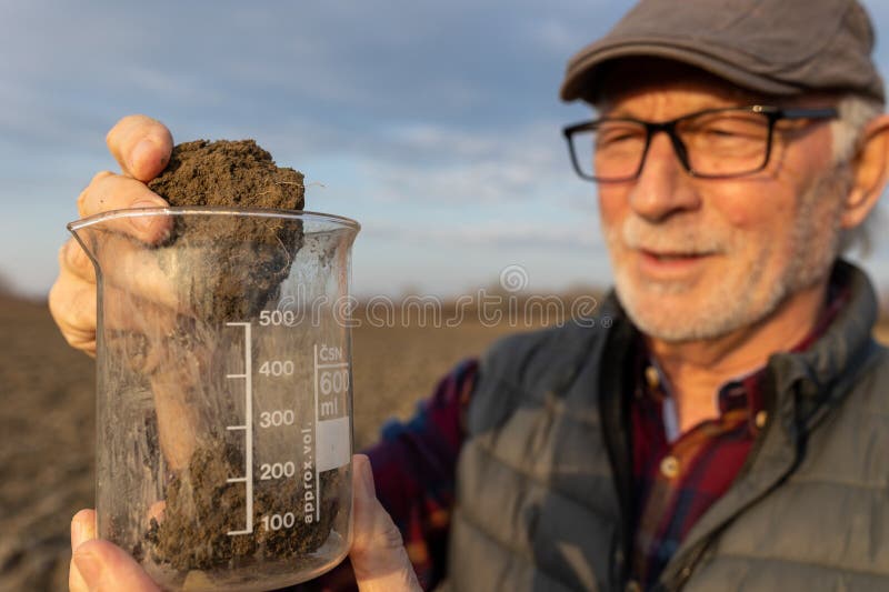 Mature Farmer Checking Soil Quality in Field Stock Image - Image of ...