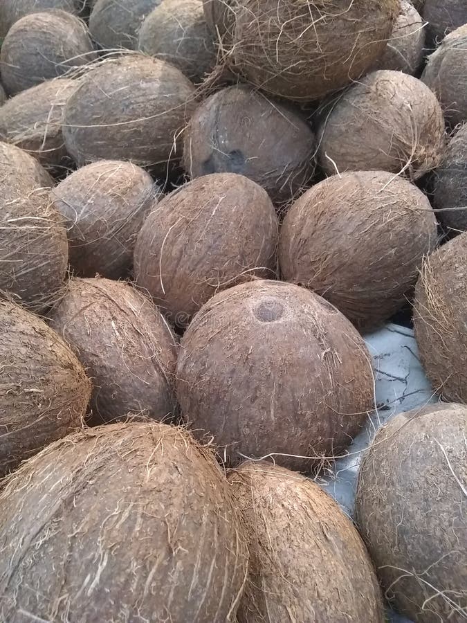 Tropical Fruit stock image. Image of tropical, fruit - 137934539