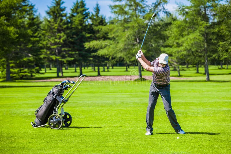 514 Old Golf Swing Stock Photos - Free & Royalty-Free Stock Photos from ...