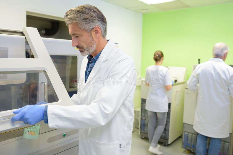Mature Male Scientist in Lab Stock Photo - Image of discovery, doctor ...