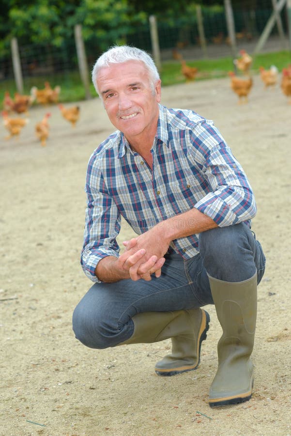 Mature Man in Chicken Farmer Stock Photo - Image of organic, livestock ...