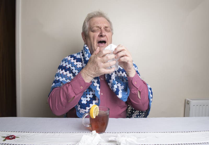 Mature Man with a Cold Sneezing and Drinking Tea Stock Photo - Image of ...