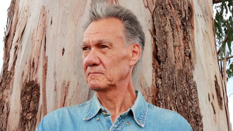 Mature Man Leaning Against a Eucalyptus Tree Thinking Stock Video ...