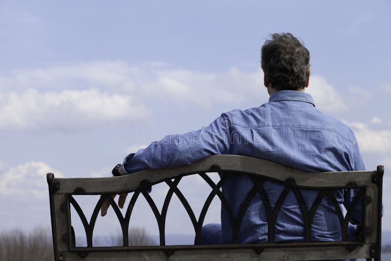 Bench on the water stock photo. Image of meadow, green - 83676980