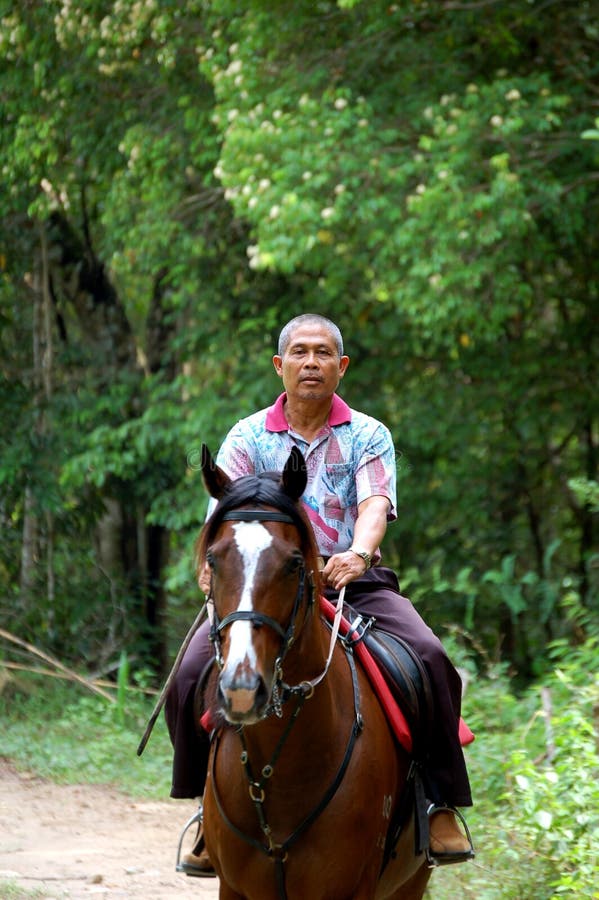 Man riding a horse stock photo. Image of racehorse, mare - 5526162