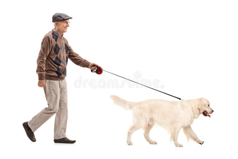 1,661 Old Man Walking Dog Stock Photos - Free & Royalty-Free Stock ...