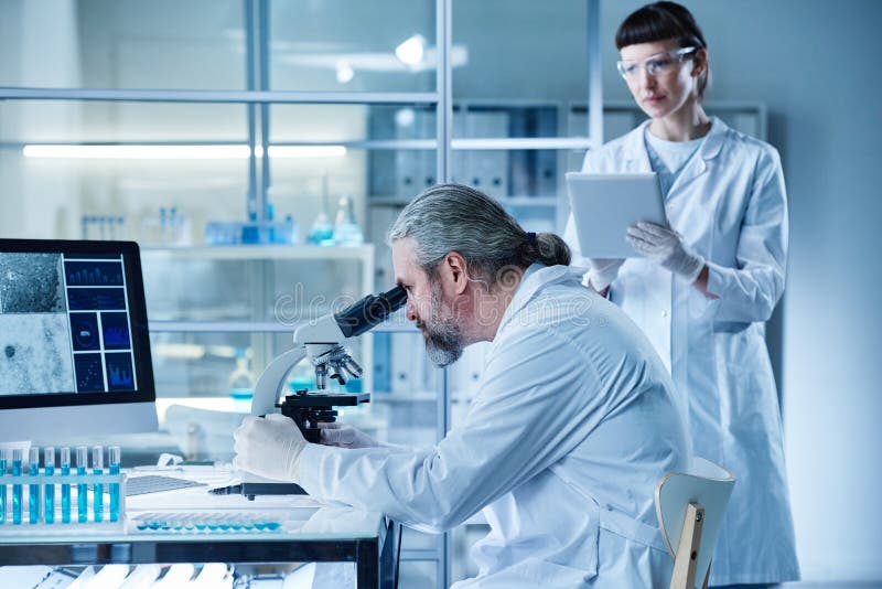 Scientist Working in Lab with Laboratory Technician Stock Photo - Image ...
