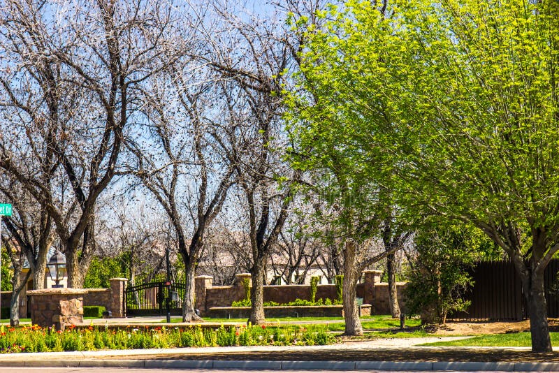 Mature Trees Surrounding Entry Gate Stock Image - Image of sidewalk ...