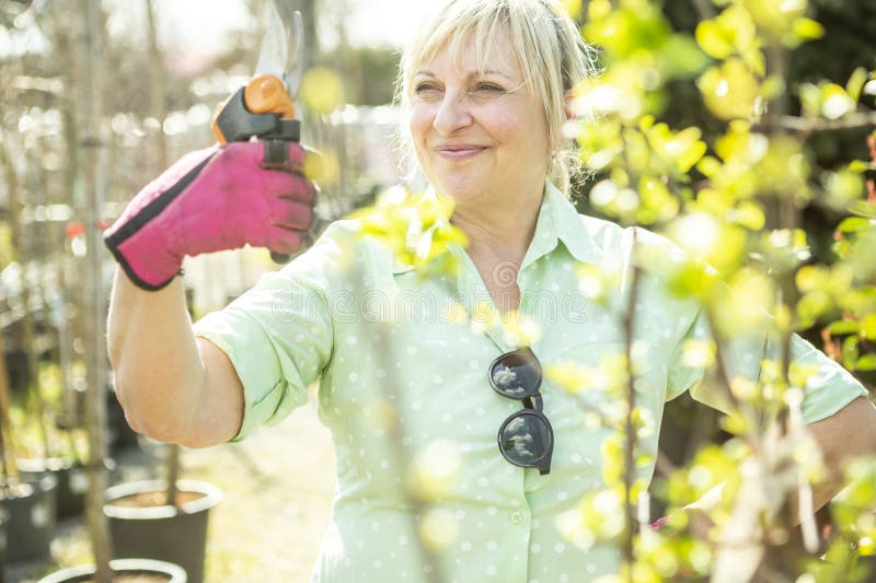 Gardener in the Tree Nursery Stock Image - Image of beautiful, care ...