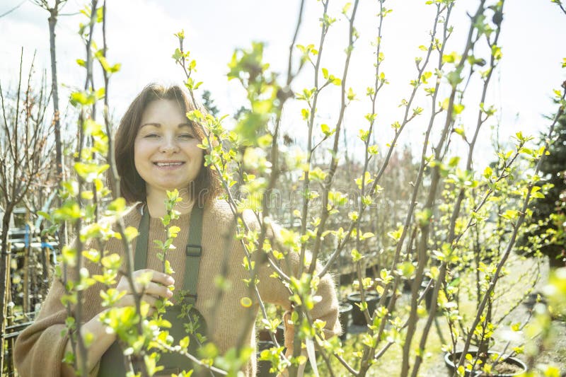 Gardener in the Tree Nursery Stock Image - Image of season, farm: 276403963