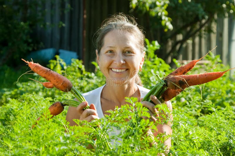 Mature Woman Picking Carrot Stock Image Image Of Caucasian Happy