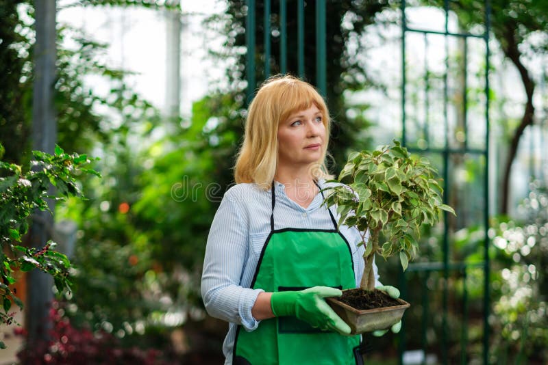 Mature Woman Working in a Botanical Garden Stock Image - Image of farm ...