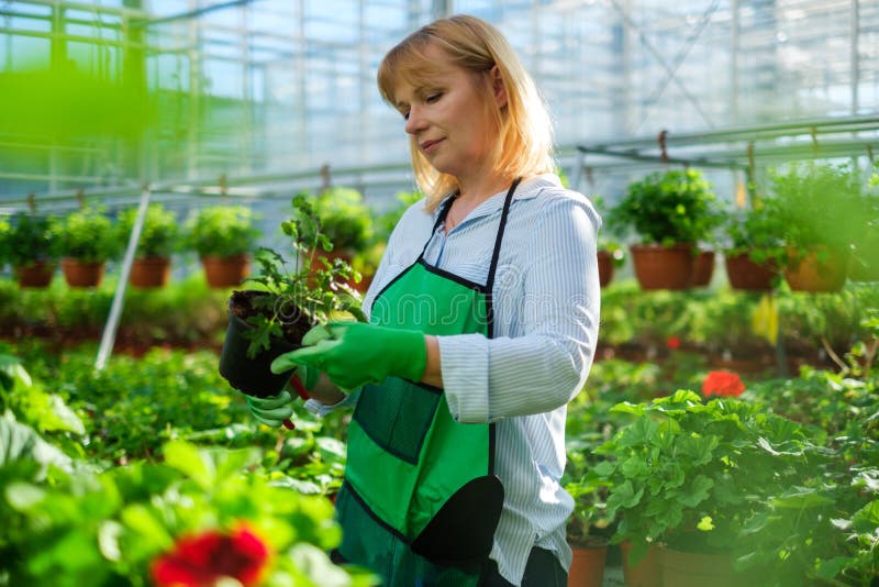 Mature Woman Working in a Botanical Garden Stock Photo - Image of ...