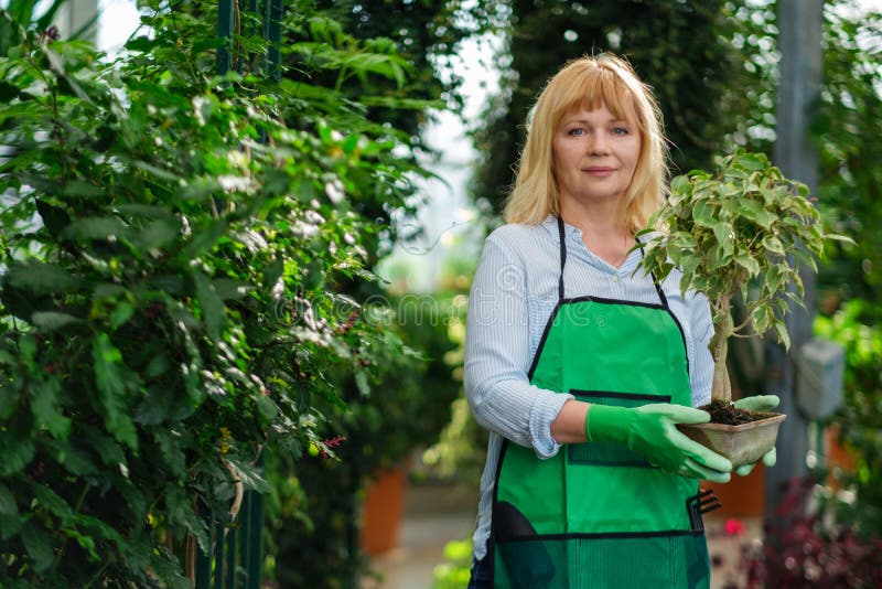 Mature Woman Working in a Botanical Garden Stock Photo - Image of adult ...