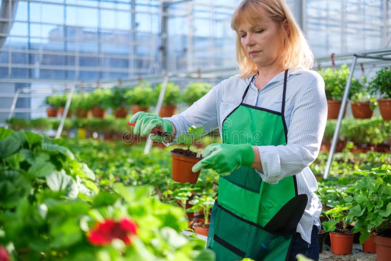 Mature Woman Working in a Botanical Garden Stock Image - Image of hobby ...