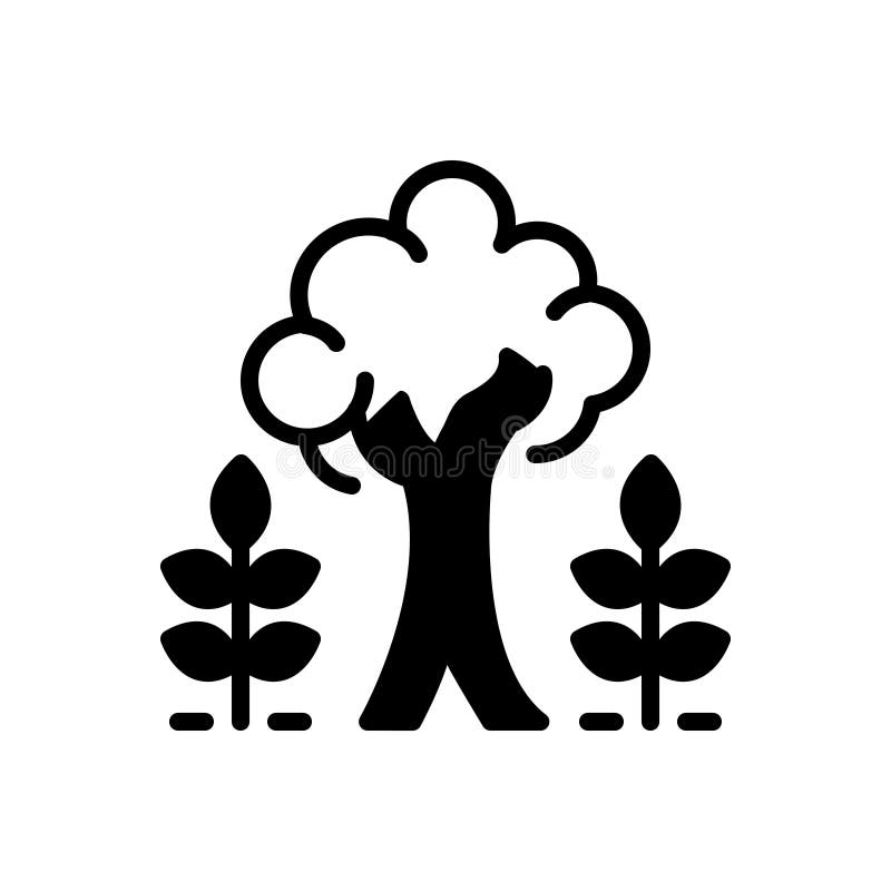 Black Solid Icon for Maturity, Tree and Plant Stock Vector ...