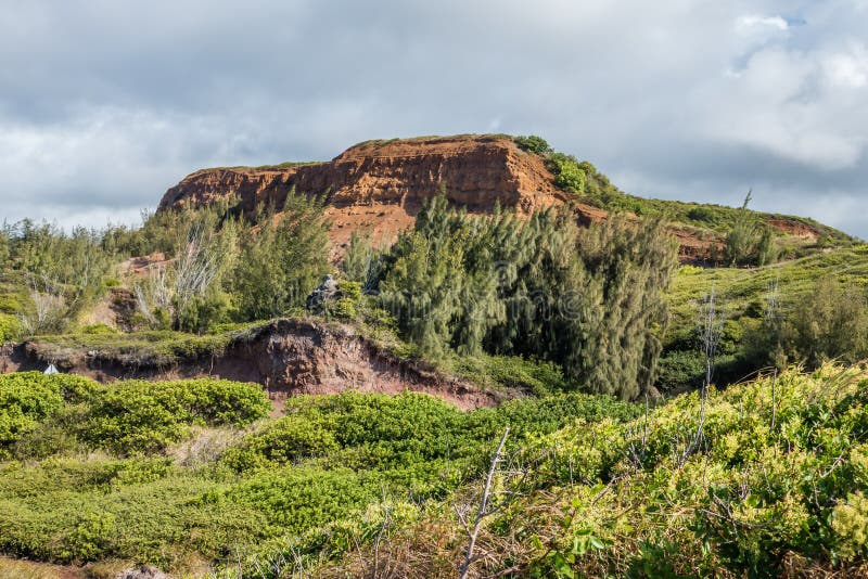 Hawaii hill stock image. Image of greenery, crowded, residential - 5553769