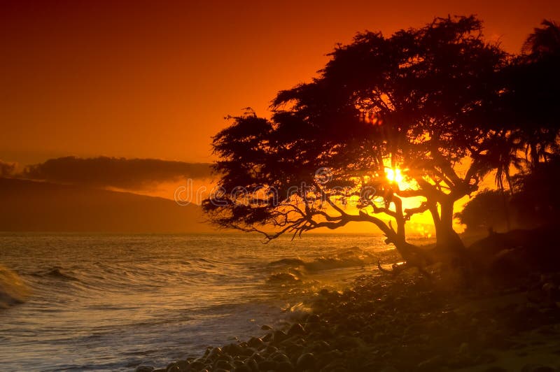 Maui Sunset stock image. Image of evening, sunset, maui - 9850717