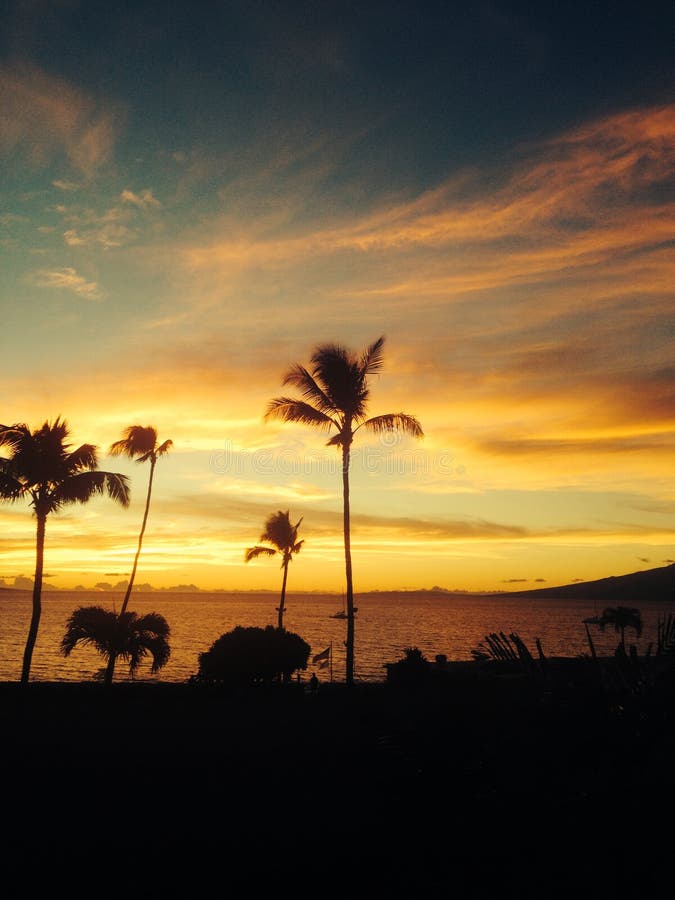 Maui Sunset stock photo. Image of water, windy, sunset - 44510150