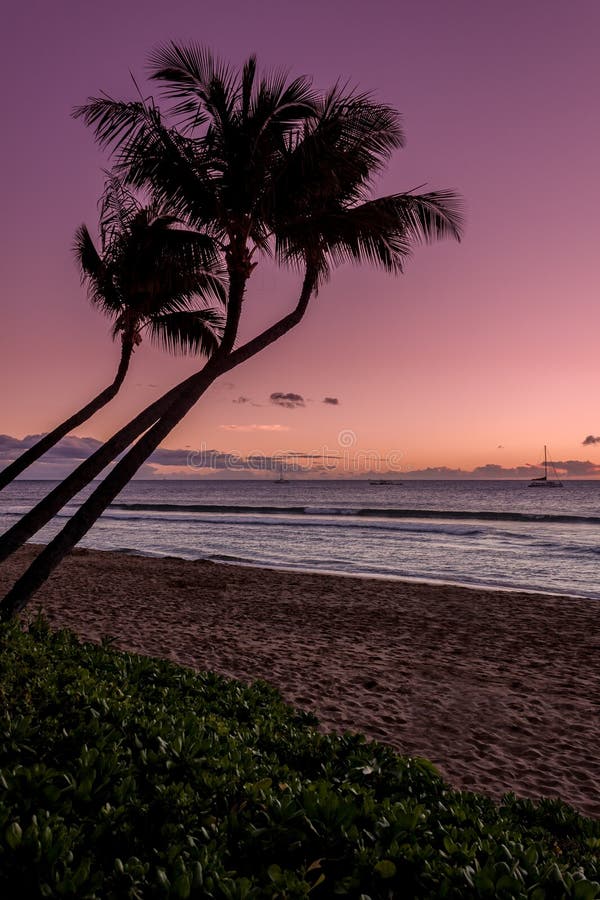 Maui Sunset stock image. Image of landscape, maui, nature - 94178913