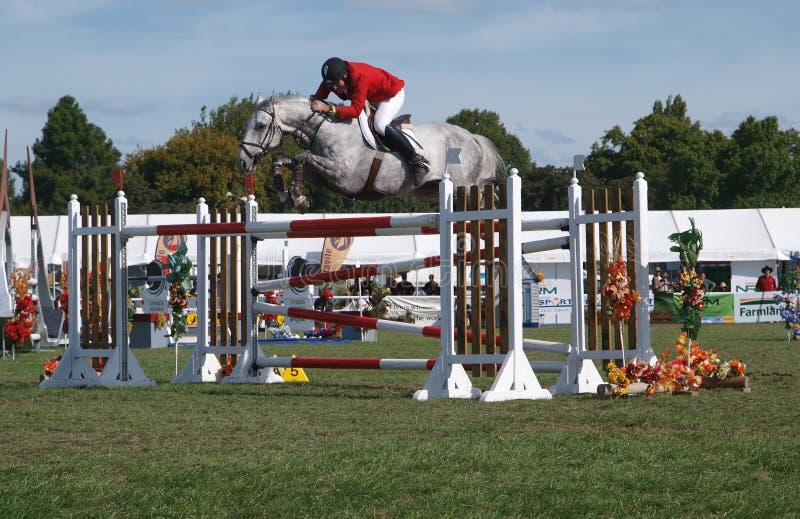 Maurice Beatson Riding Zibbibo Editorial Stock Photo - Image of hurdle ...