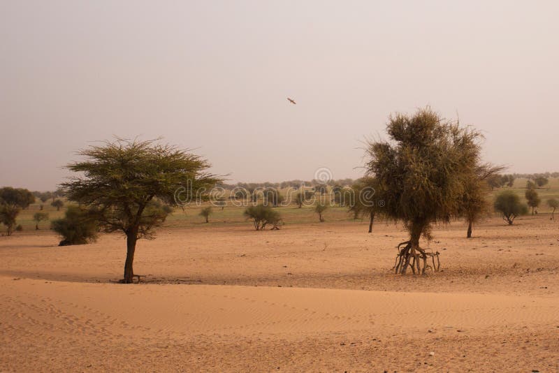 Mauritanian landscape stock image. Image of desert, travel - 68065417
