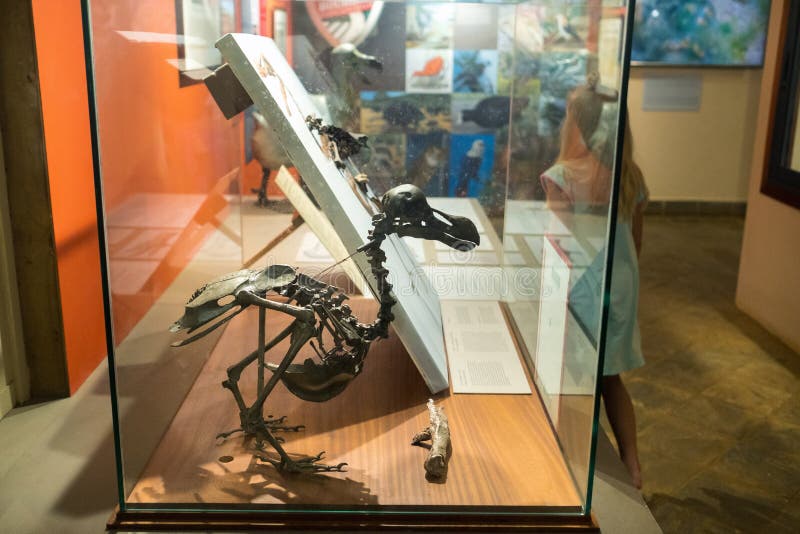 Mauritius, December 10, 2019: DoDo Bird at the Museum Editorial Stock ...