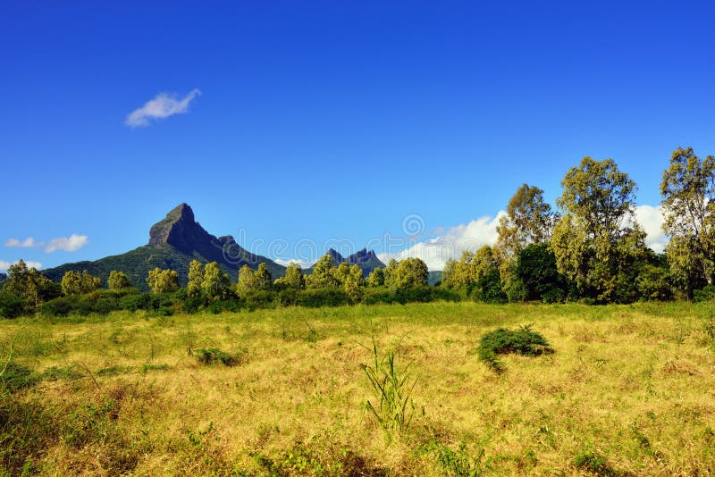 Mauritius Landscape stock image. Image of cultivation - 13828687