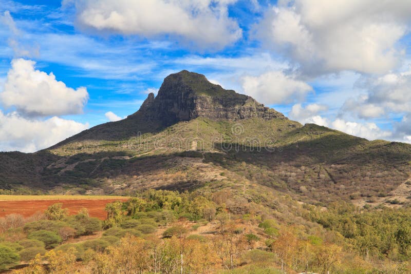Nature Of Mauritius. Wood And Mountains Stock Image - Image of light ...